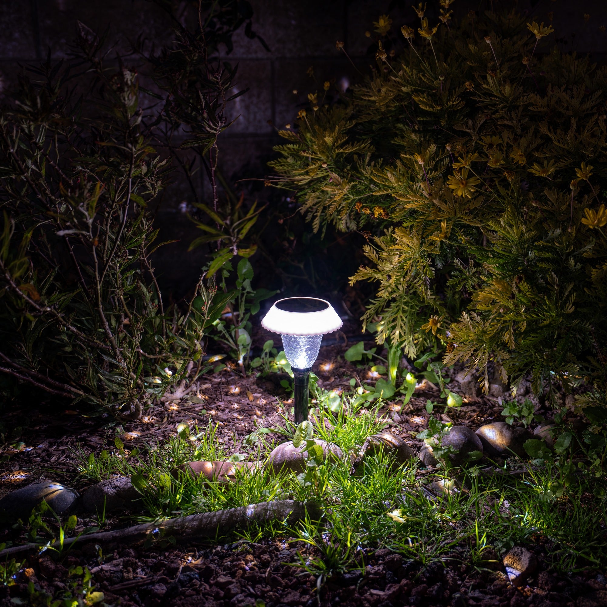 LeonLite® Luce Multi-color LED Path Light - RGB Warm White – Leonlite Pro