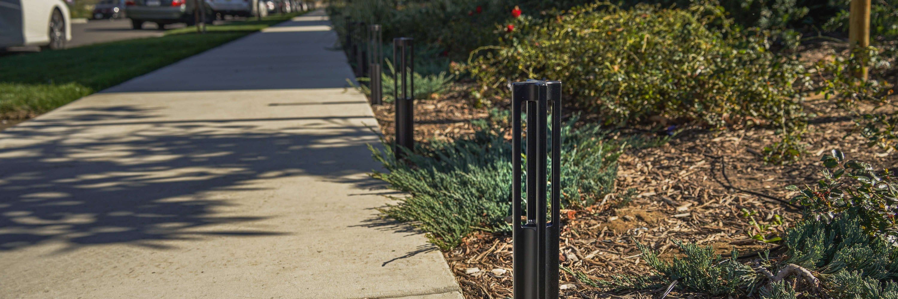 Leonlite® Pro – Leonlite Pro