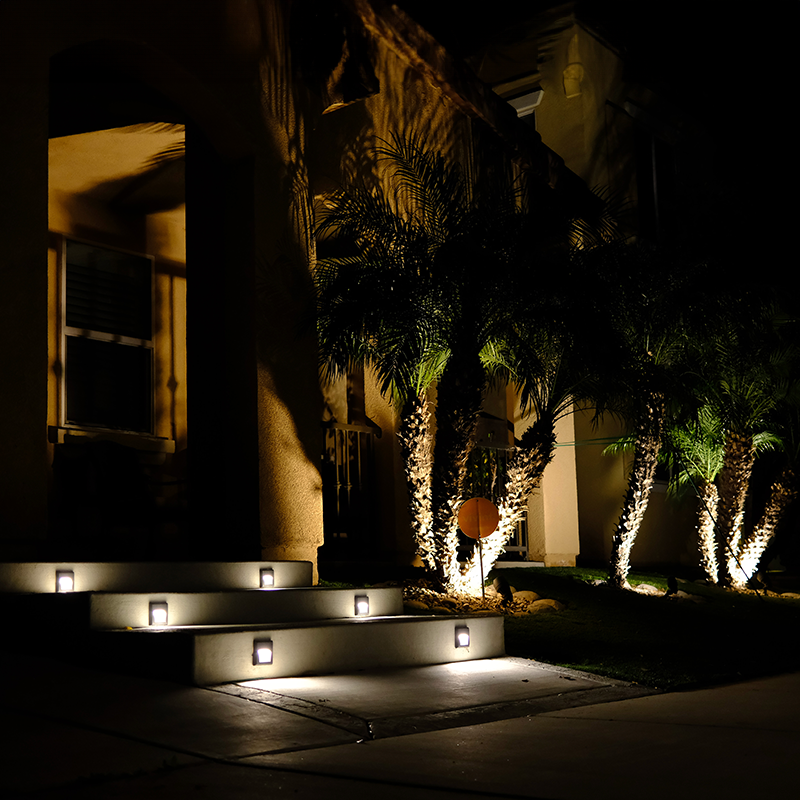 Leonlite® Pro – Leonlite Pro