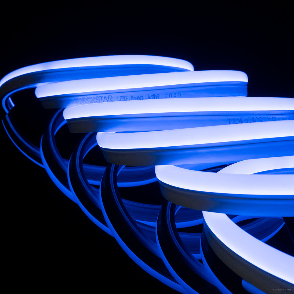 LeonLite® Pro 120V Neon Rope Light - Blue – Leonlite Pro